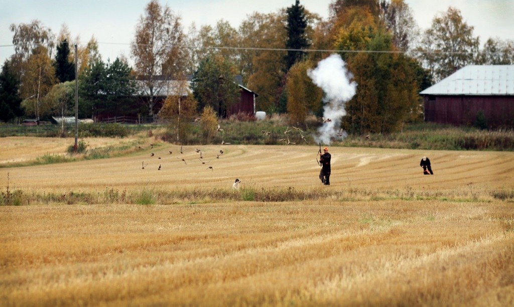 Heegårds Sally – KENNEL ALSTEDLUND